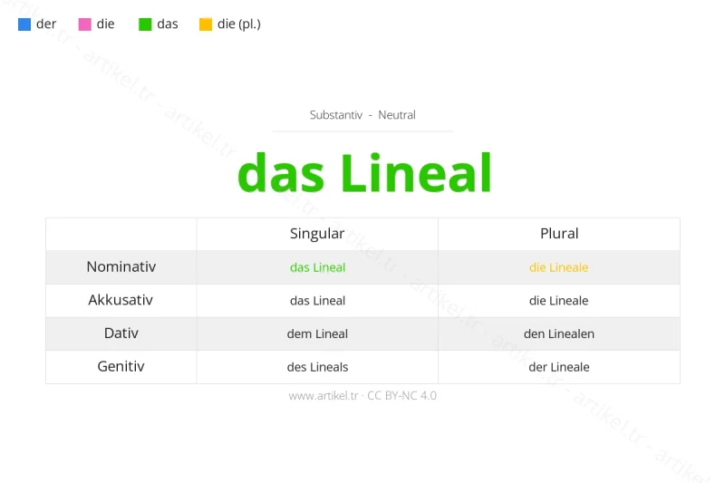 Lineal Article in German: Das Lineal | Plural & Examples